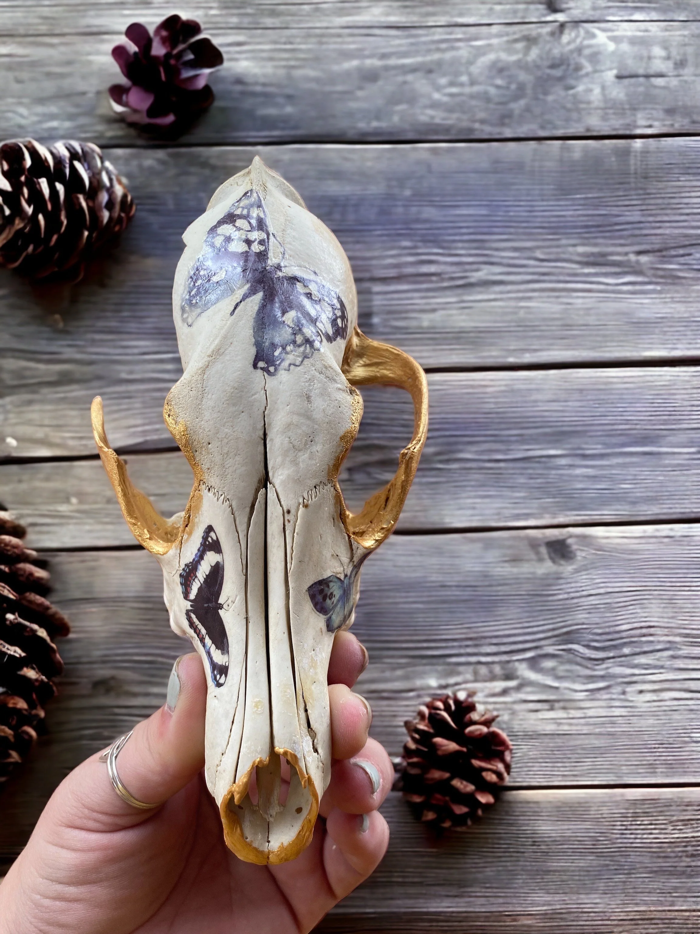 Deer Bones (per bone) — Woodland Wanderland