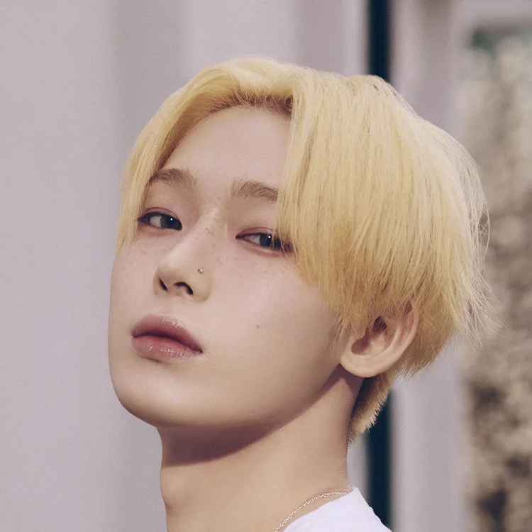 ENHYPEN GUIDE | Member Profiles, Content Playlists, Discography