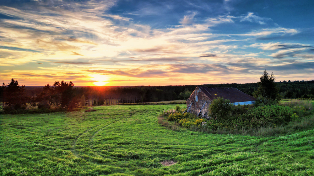 Boyle Farm