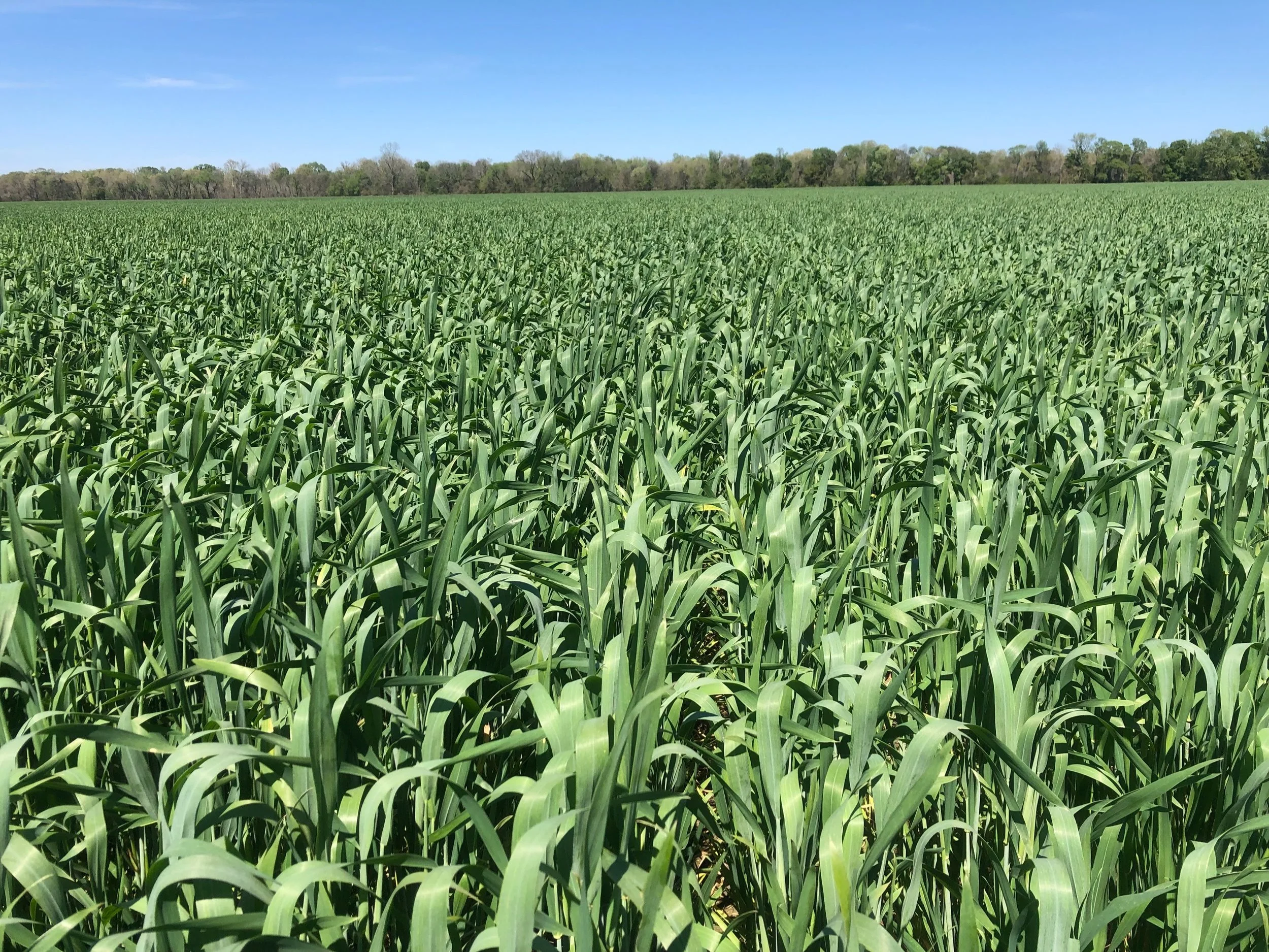 Our Story — Bluff Farm Supply