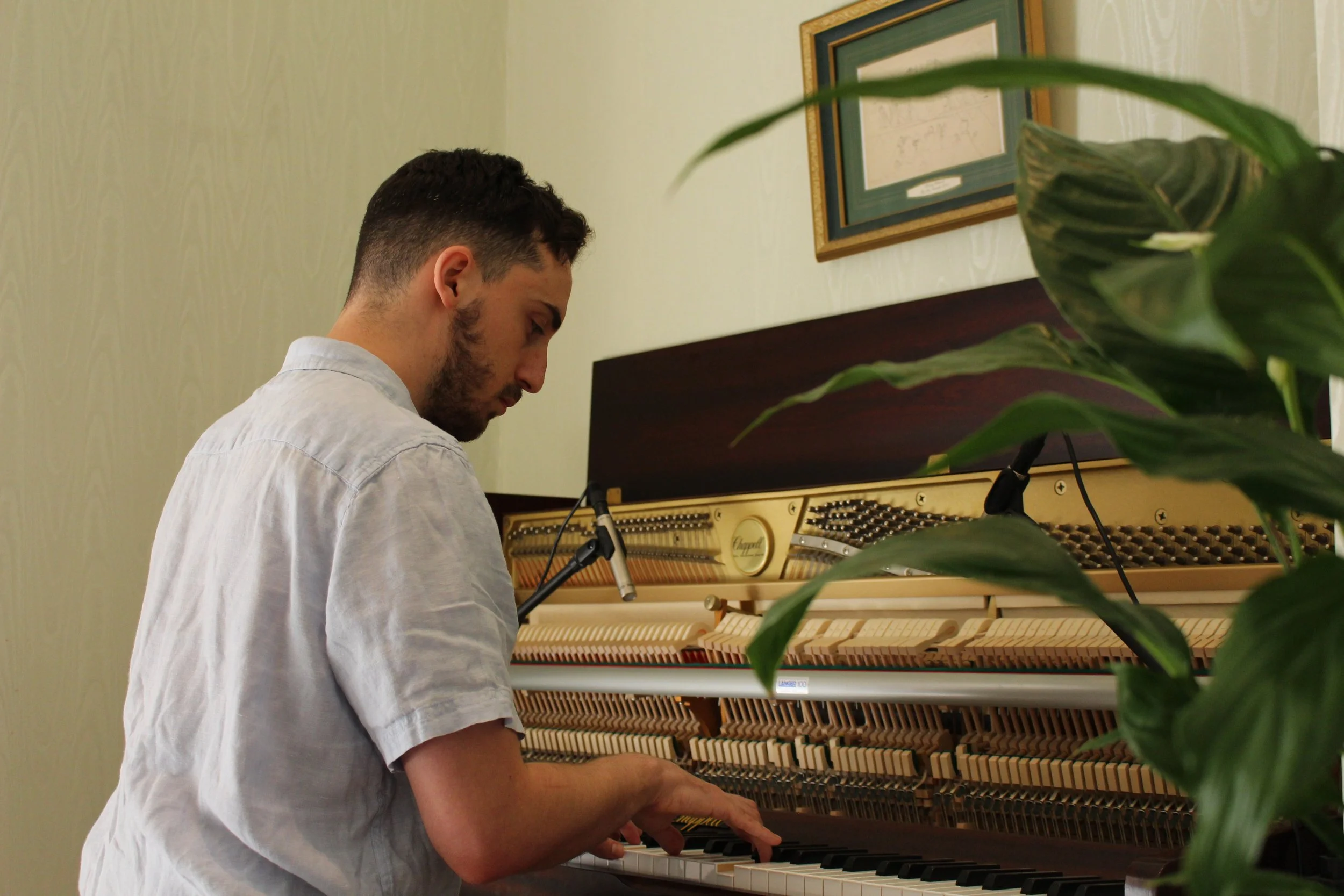 Contact 3 — Cameron Segal