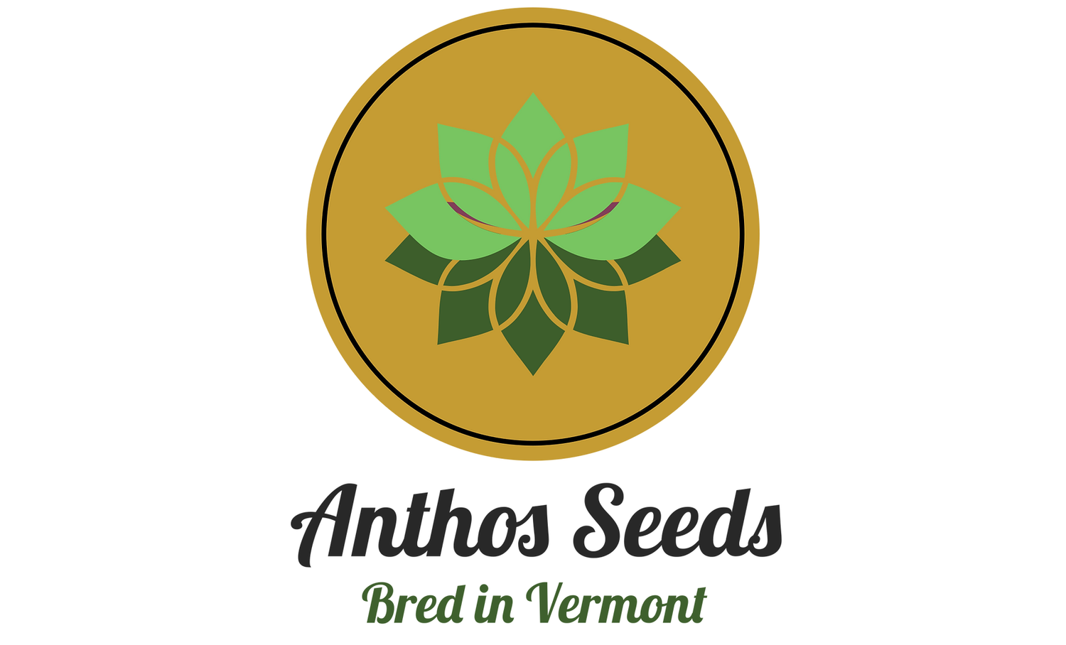 Anthos Seed Store — KEEFY CANOPY