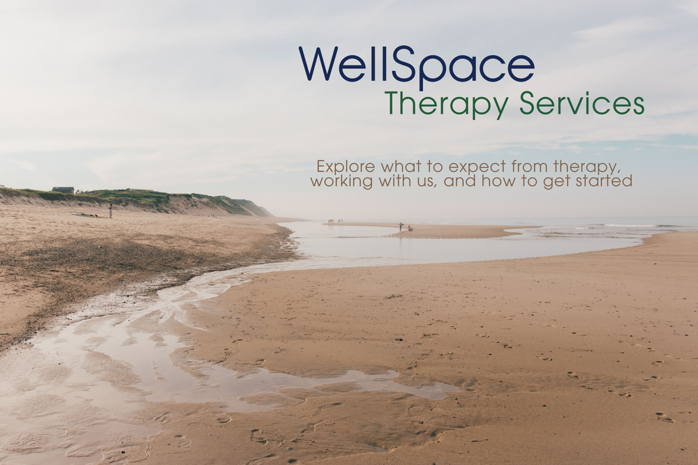 WellSpace Maine