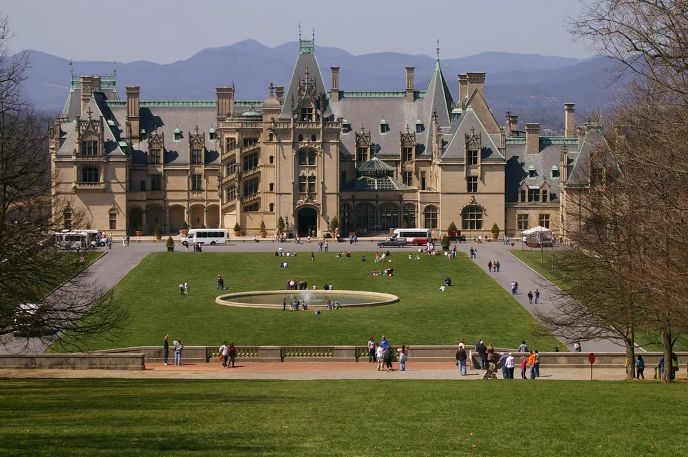 Vanderbilt Admissions 2024-2025 — Cosmic College Consulting