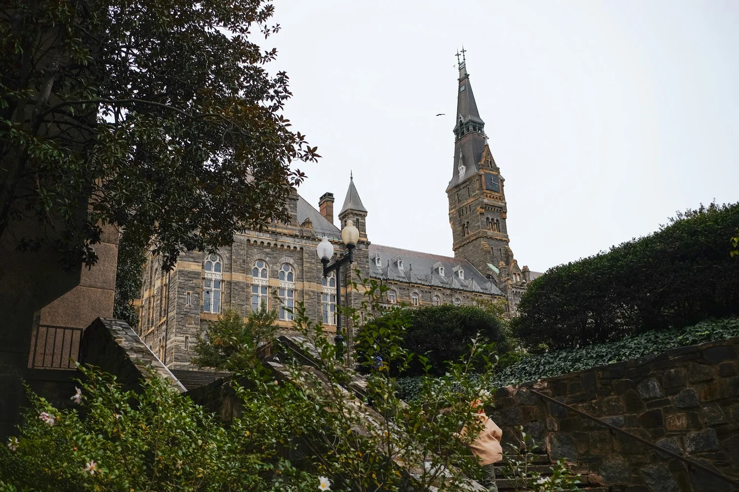 Georgetown Admissions 2024-2025: 12.9% Rate, SAT 1400-1540 — Cosmic ...