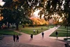 Emory Supplemental Essays Guide 2025-2026 — Cosmic College Consulting