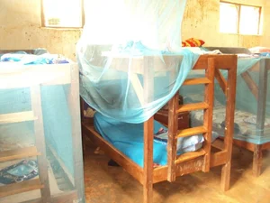 World Malaria Day 2026: How Malaria Prevention Saves Lives | One for ...
