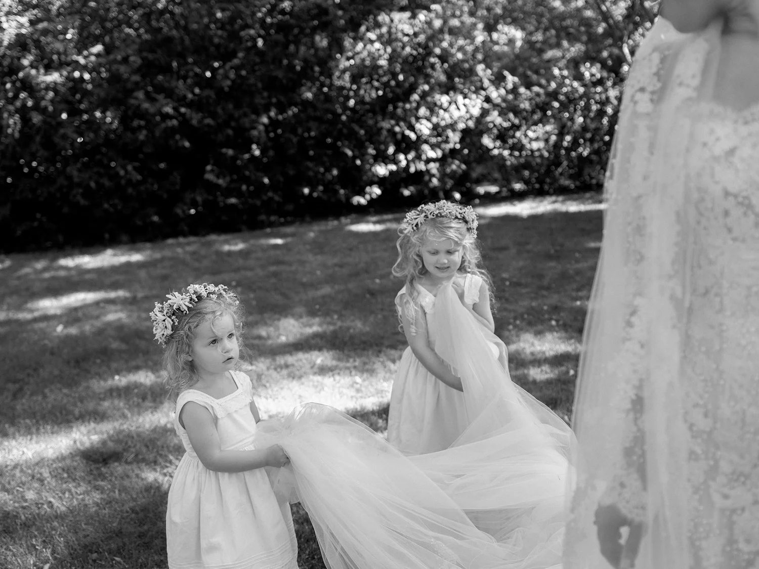 Rutherford | California — Laurie Arons Special Events