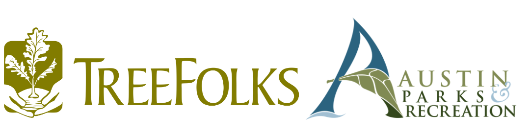 Austin Tree of the Year Awards