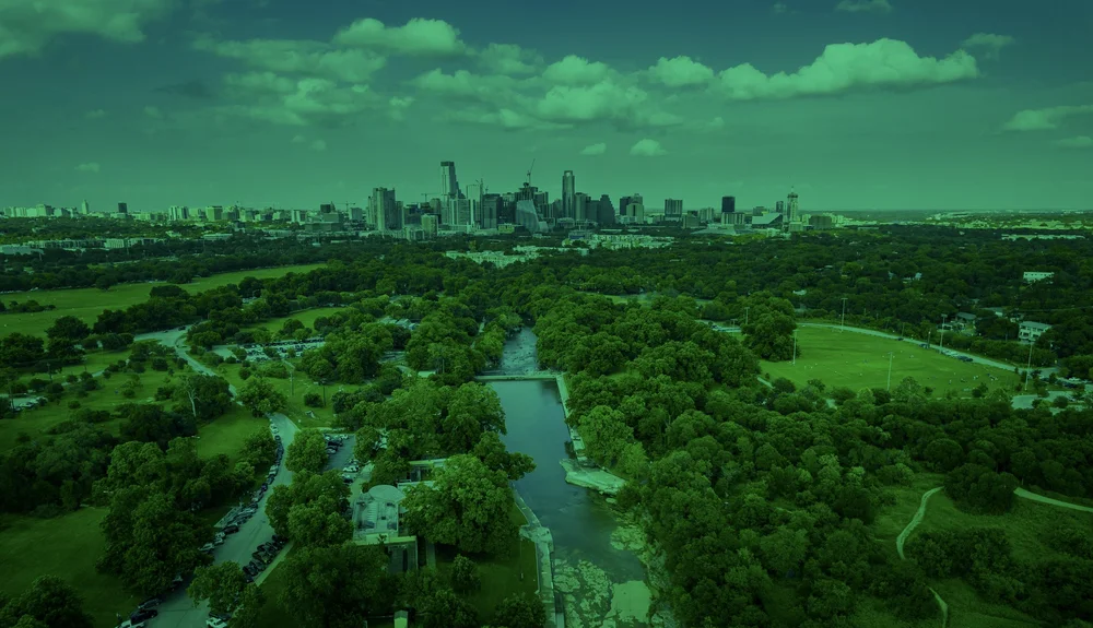 Austin Tree of the Year Awards