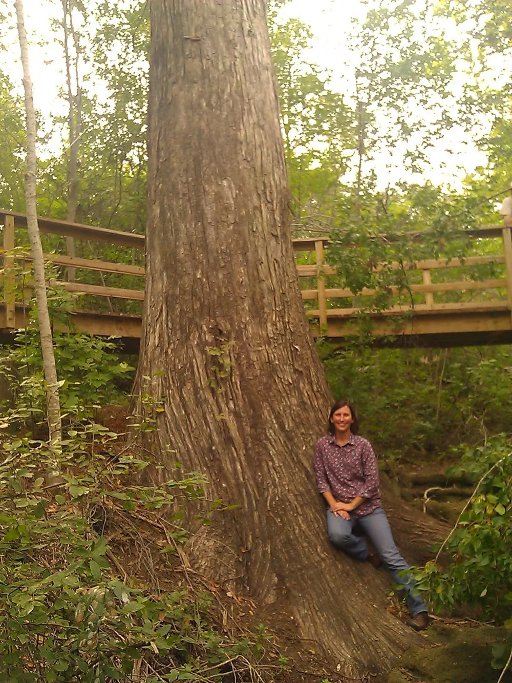 Winners Gallery — Austin Tree of the Year Awards