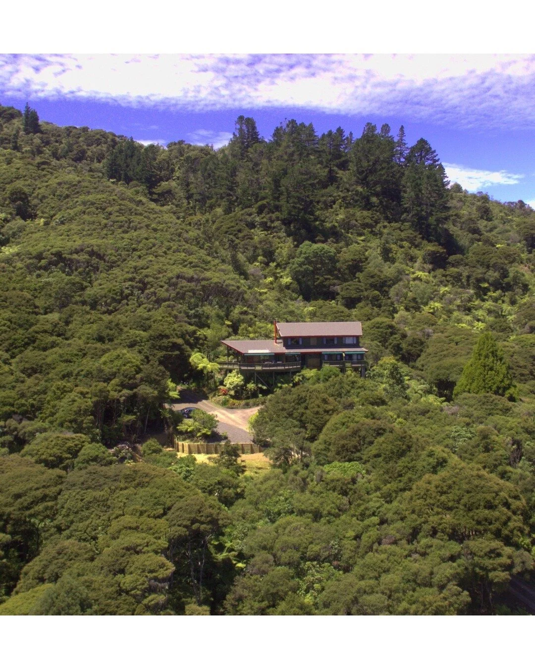 buffalo lodge bed and breakfast - coromandel accommodation