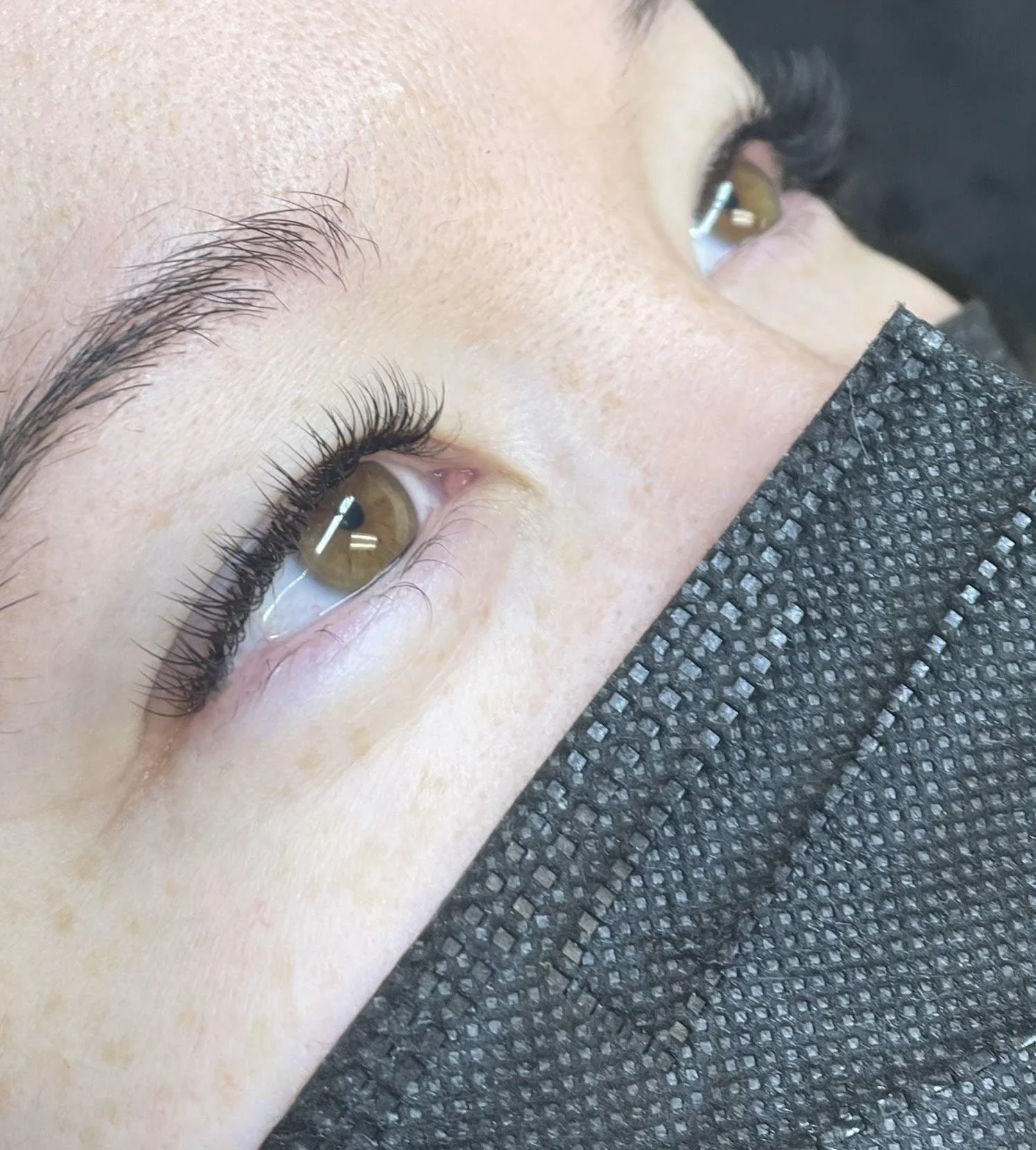 Black Forest Lash Company