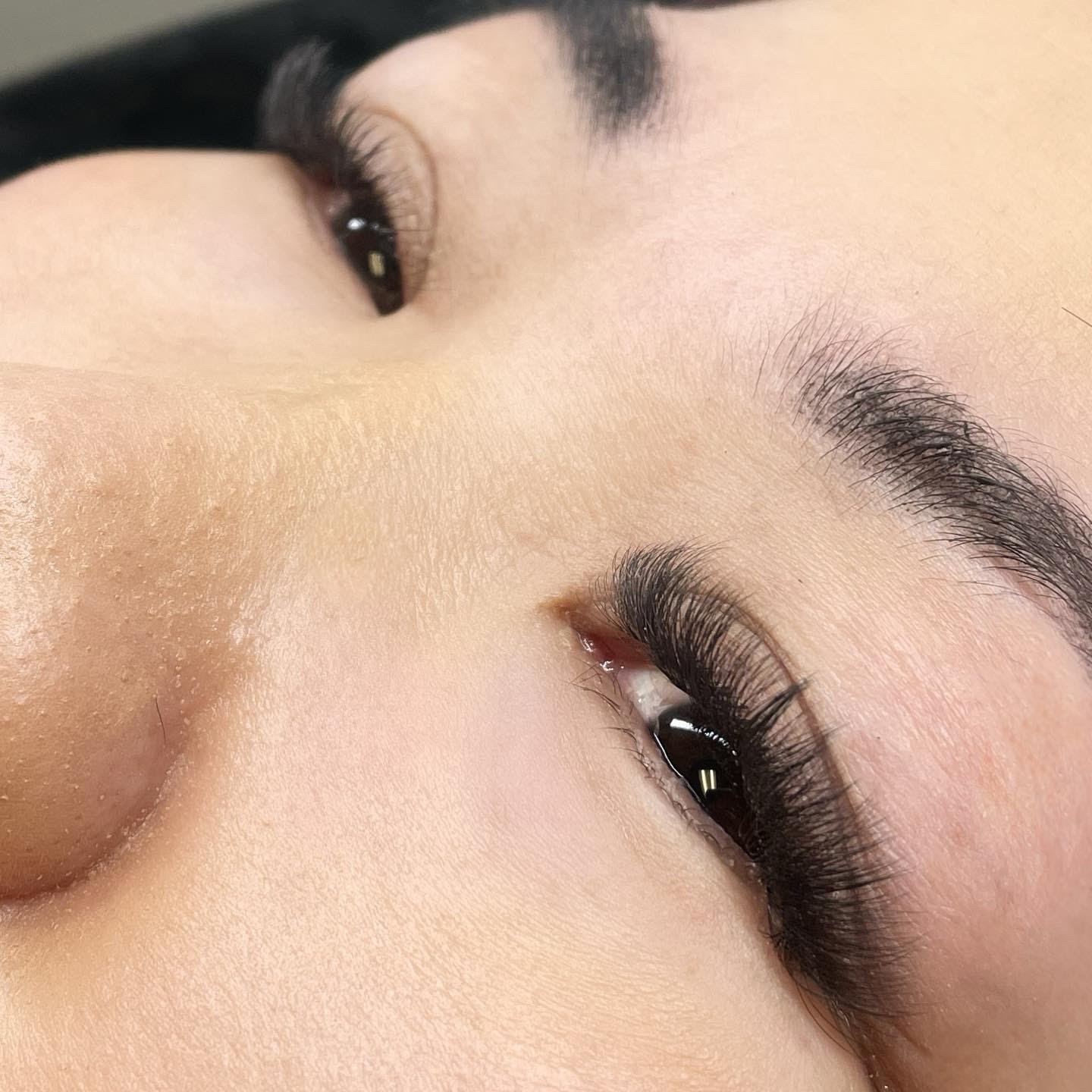 Black Forest Lash Company