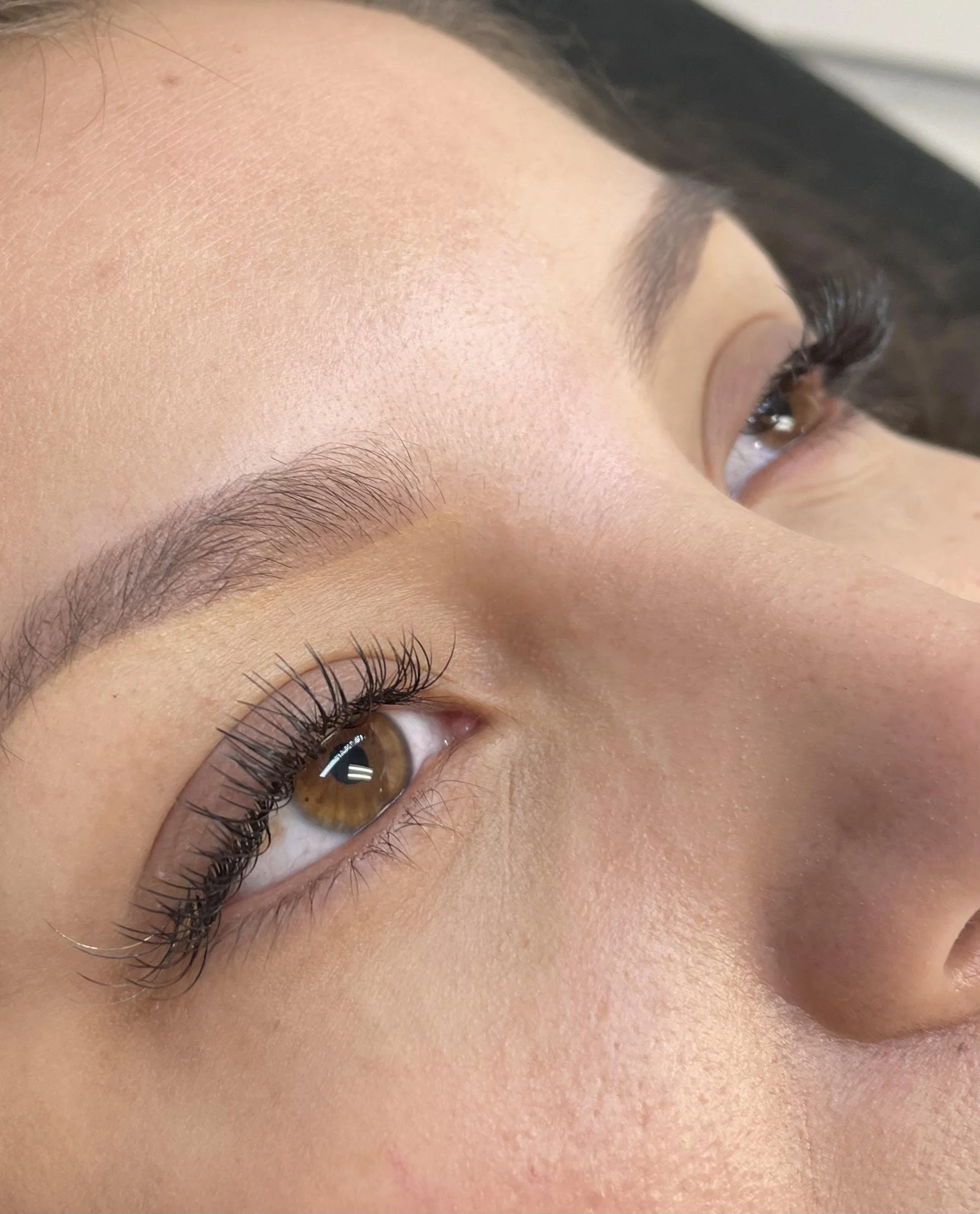 Black Forest Lash Company