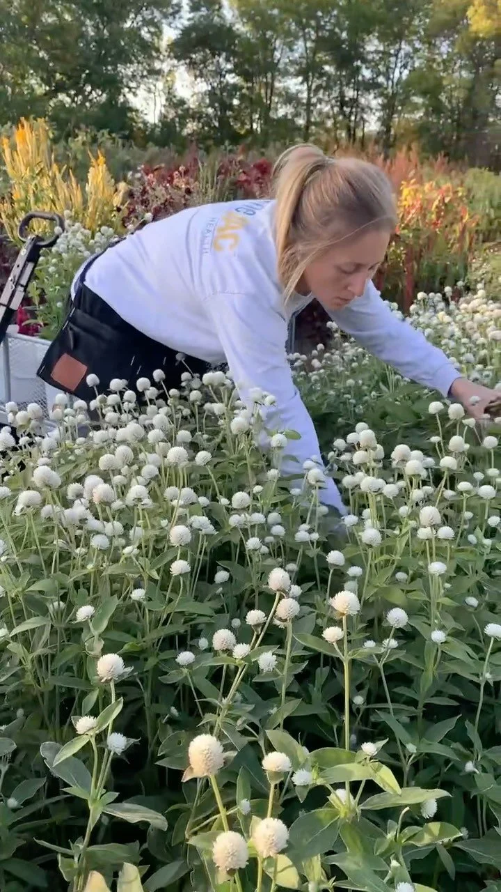 Offerings — MEADOW FORGE