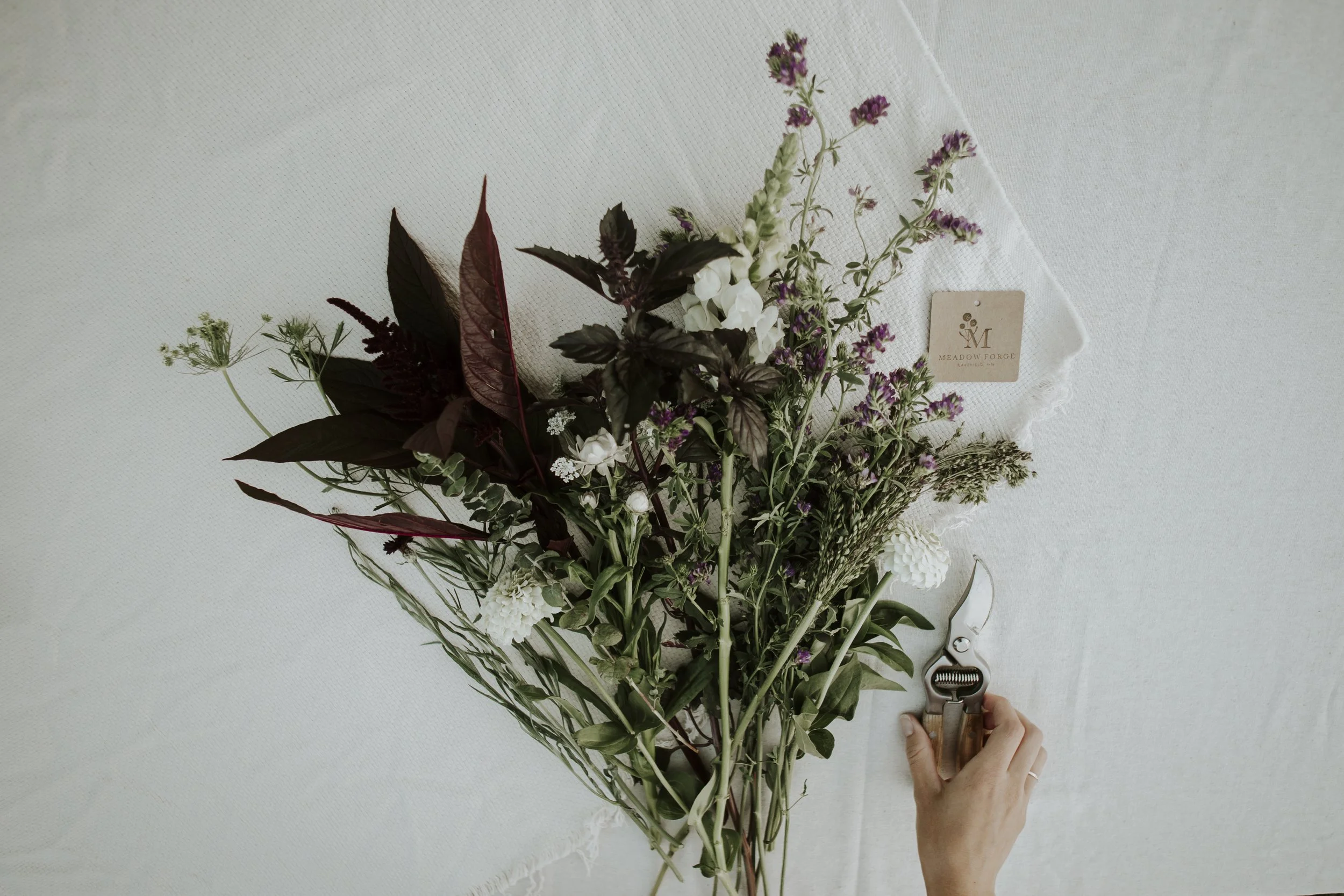 Store 1 — MEADOW FORGE