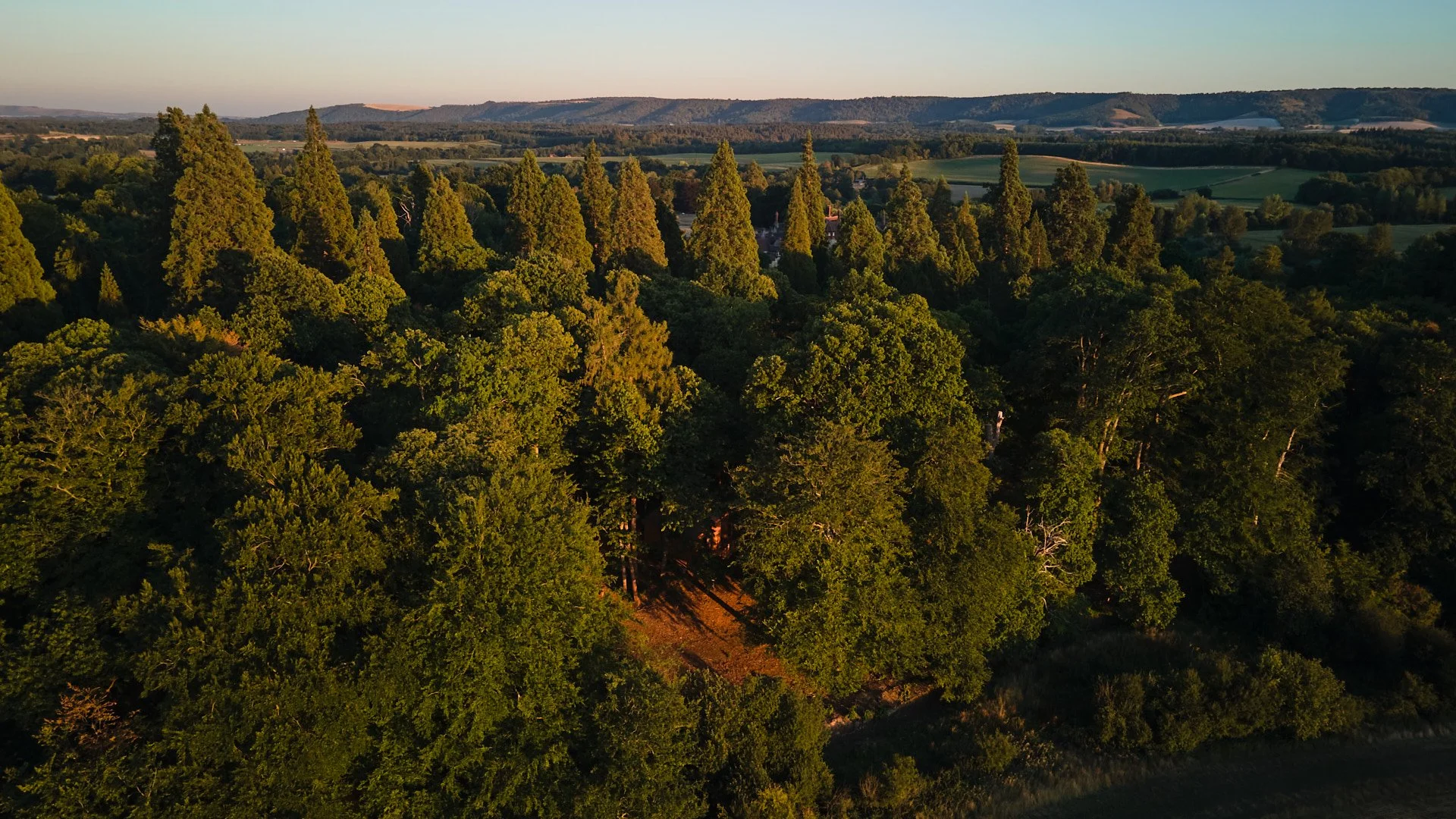 Cowdray Treehouses — TreeHouse Retreats