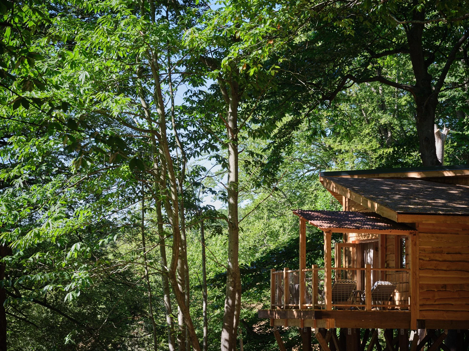 Cowdray Treehouses — TreeHouse Retreats