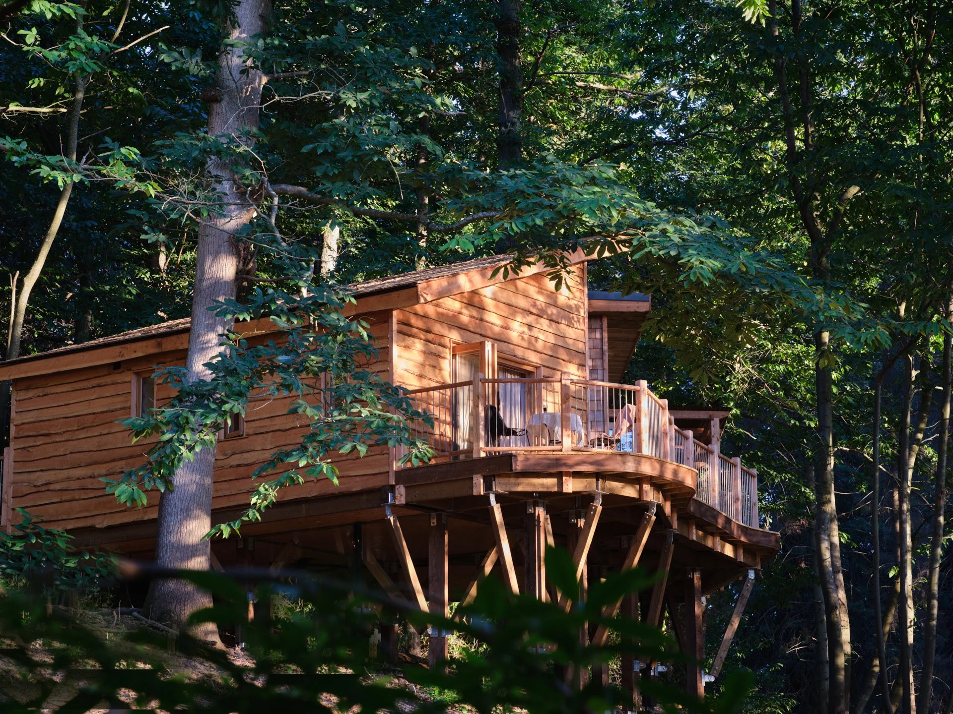 Cowdray Treehouses — TreeHouse Retreats