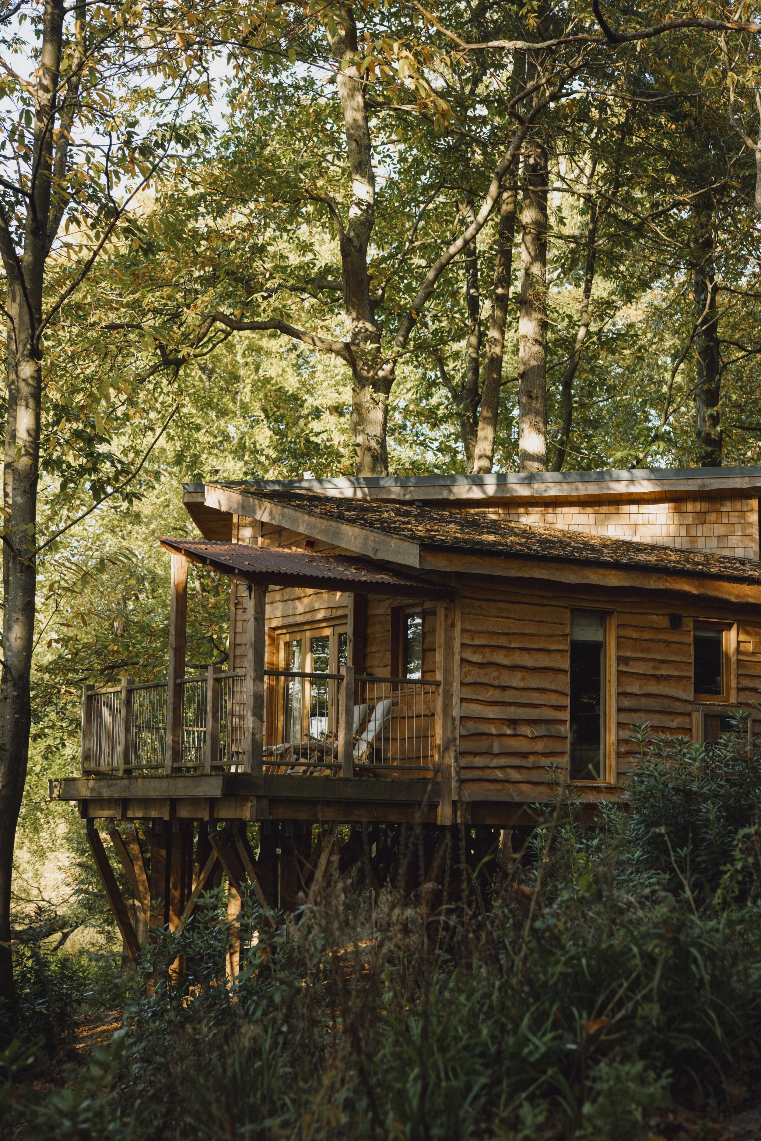 Cowdray Treehouses — TreeHouse Retreats