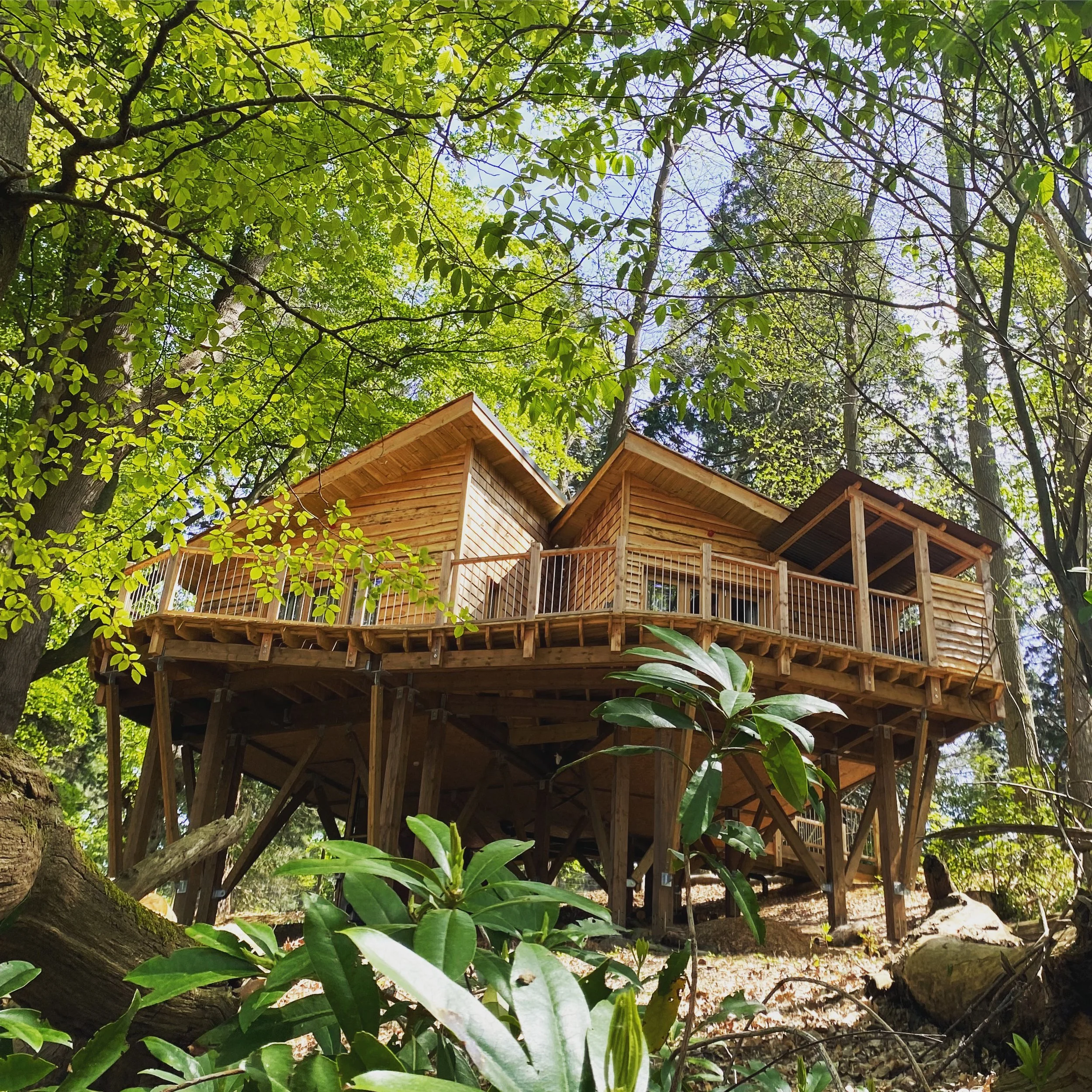 Tree House Retreats