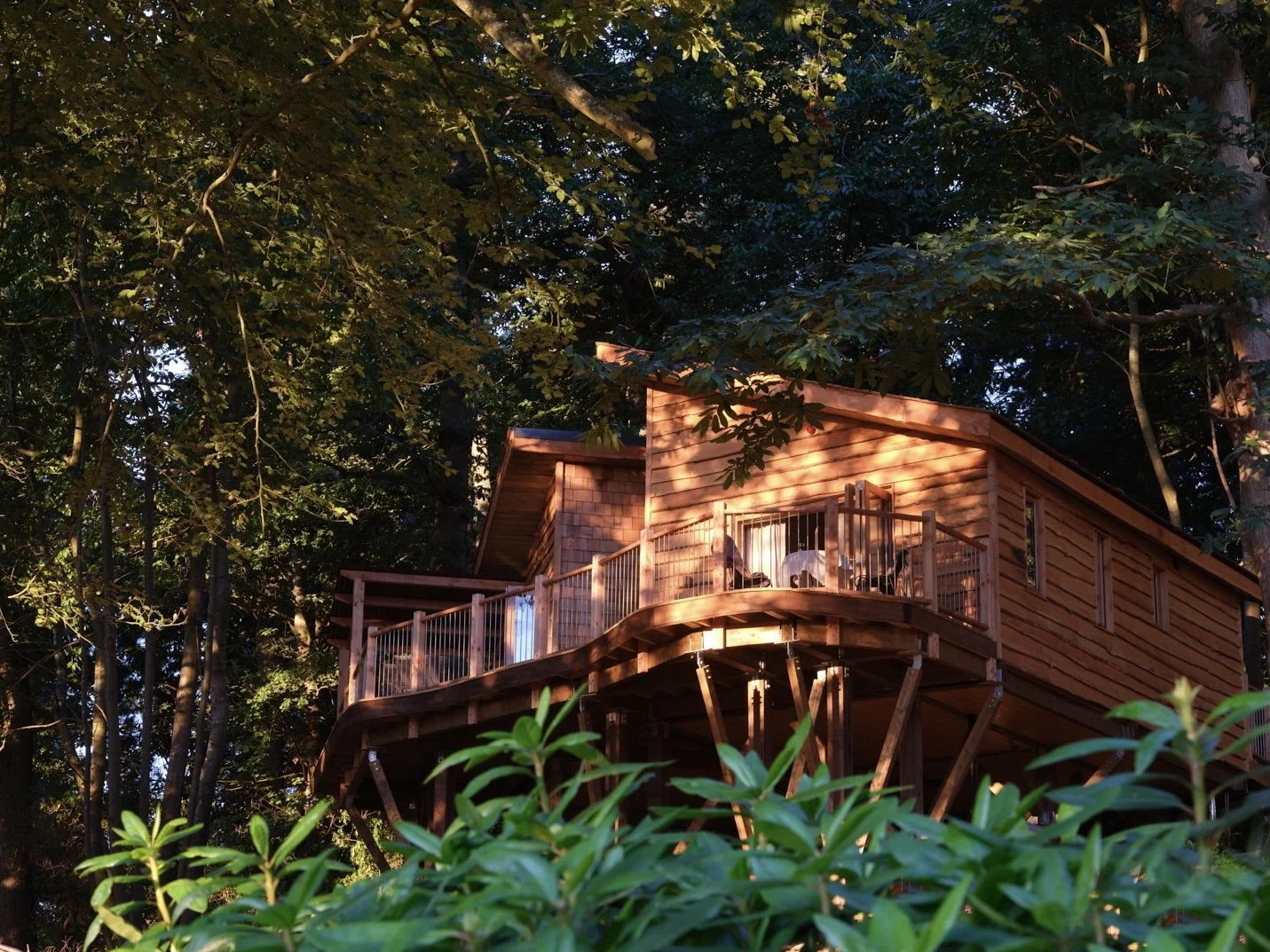Tree House Retreats