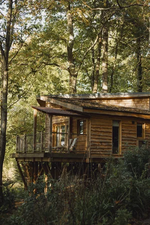 TreeHouse Retreats