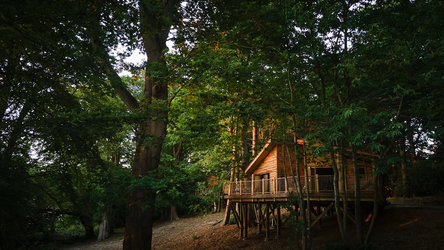 Cowdray Treehouses — TreeHouse Retreats