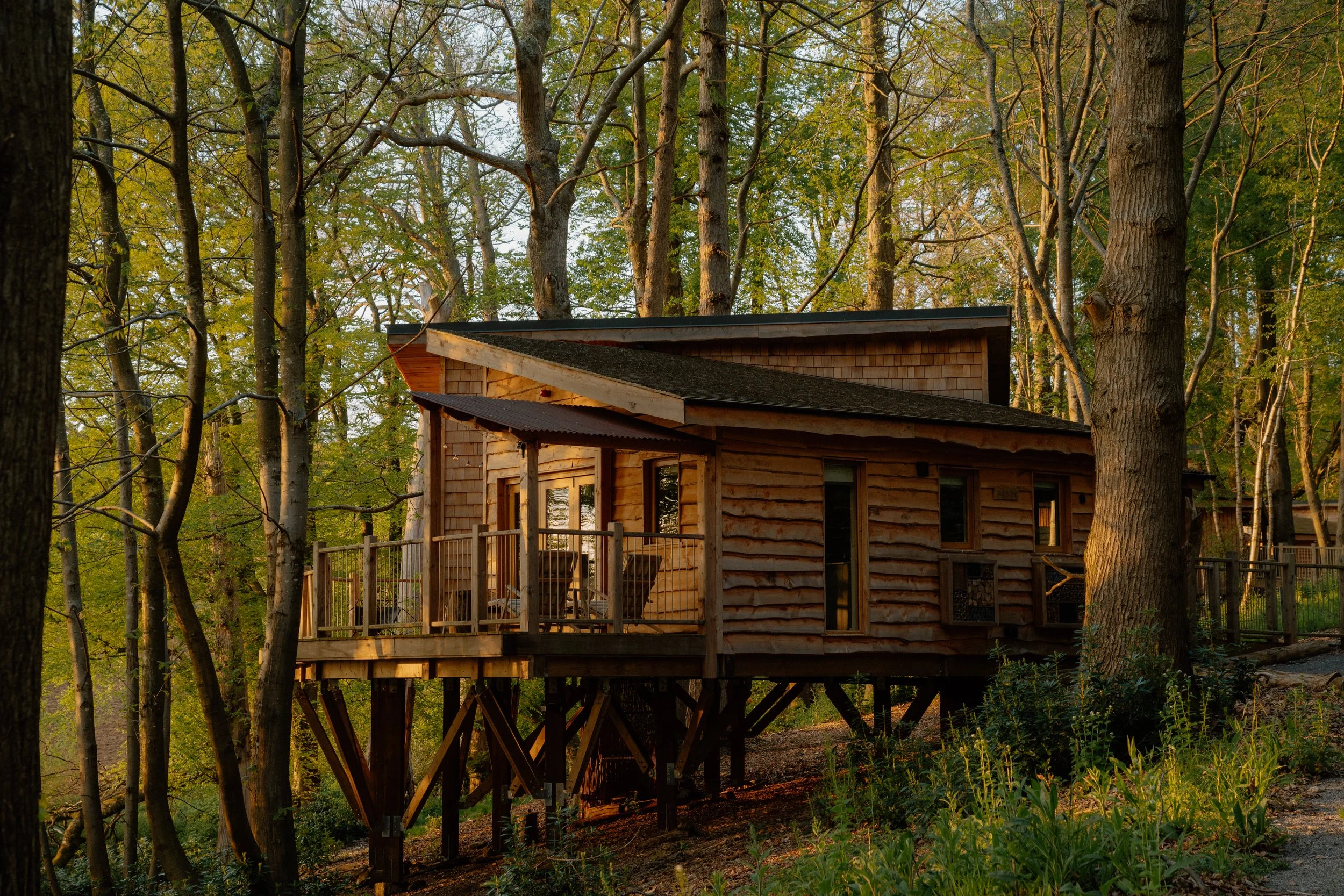 Book — TreeHouse Retreats