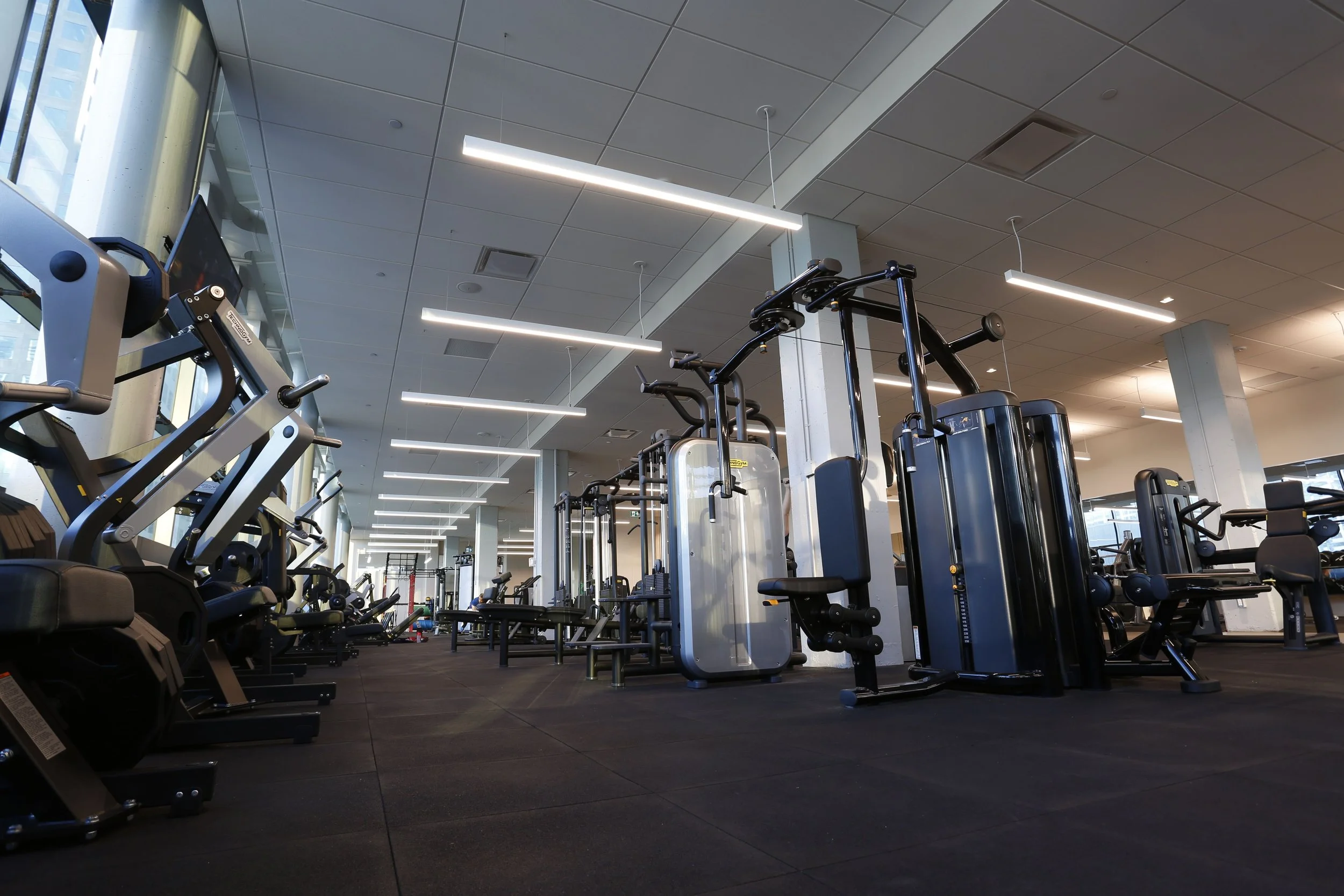 Pure Fitness