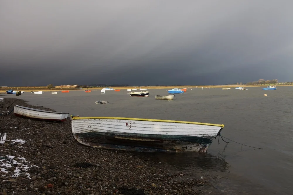 Wildlife — Sunderland Point