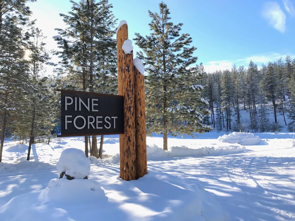 Pine Forest Owners Association