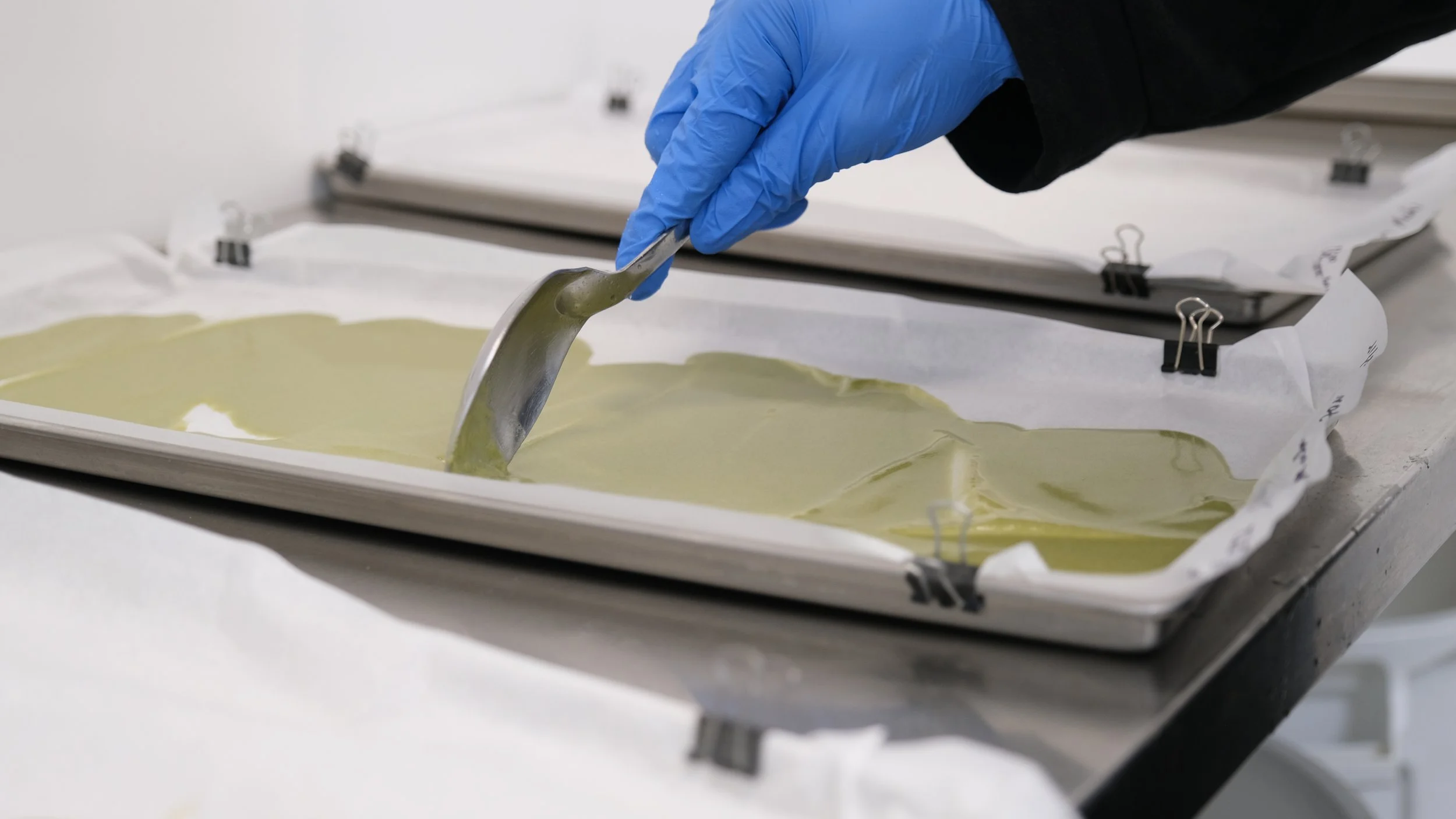 HASHERY — Emerald Sun