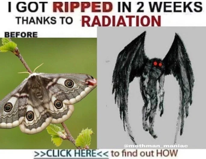 Memes of the Week -2