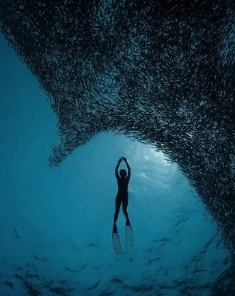 Scary Ocean Pictures: 14 Scary Photos to Trigger Your Thalassophobia