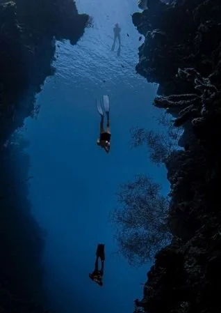Scary Ocean Pictures: 14 Scary Photos to Trigger Your Thalassophobia