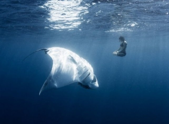 Scary Ocean Pictures: 14 Scary Photos to Trigger Your Thalassophobia