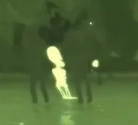 Cult of the Cryptids: The Real Life Cryptids Featured in the Game