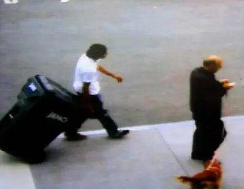 Nikki Catsouras: A Tragic and Horrific Death