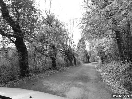 Devil’s Road and the Cult House