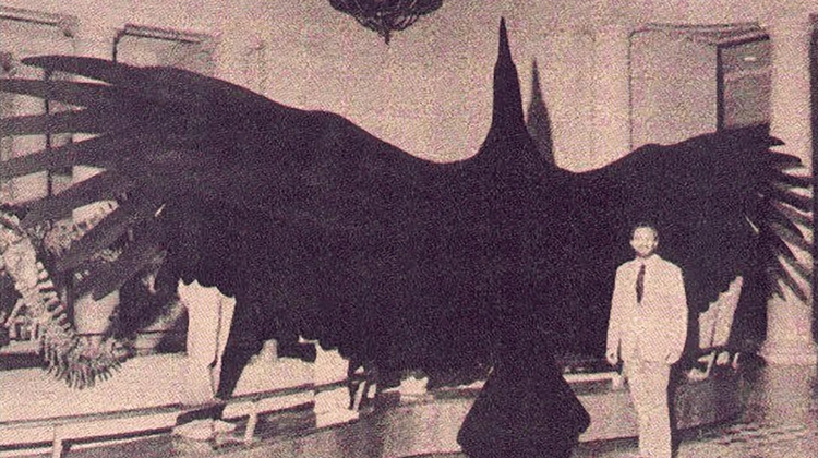 Thunderbird Cryptid: Bird with a 70ft Wingspan