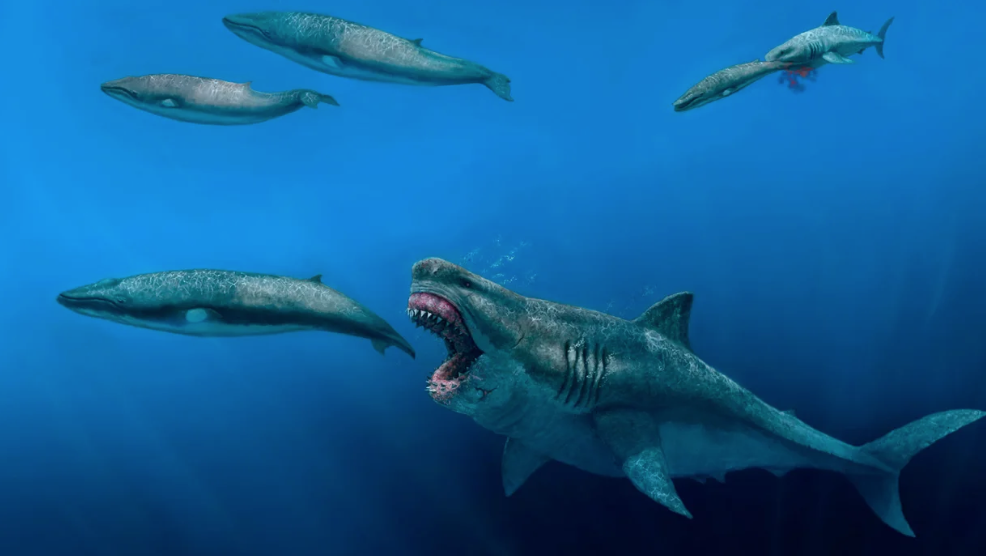 NASA Zone F: Has NASA discovered strange creatures under the sea?