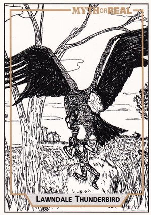 Thunderbird Cryptid: Bird with a 70ft Wingspan