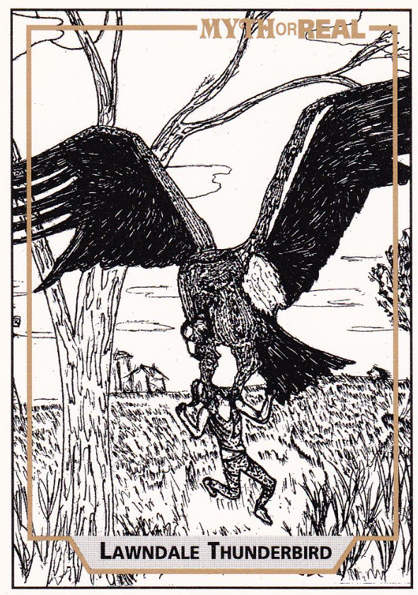 Thunderbird Cryptid: Bird with a 70ft Wingspan