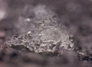 Star Jelly: Unexplained Gelatinous Substance that Falls from the Sky