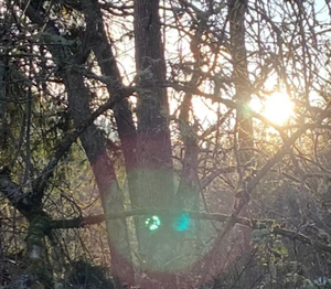Green Orbs Appearing in Photos?