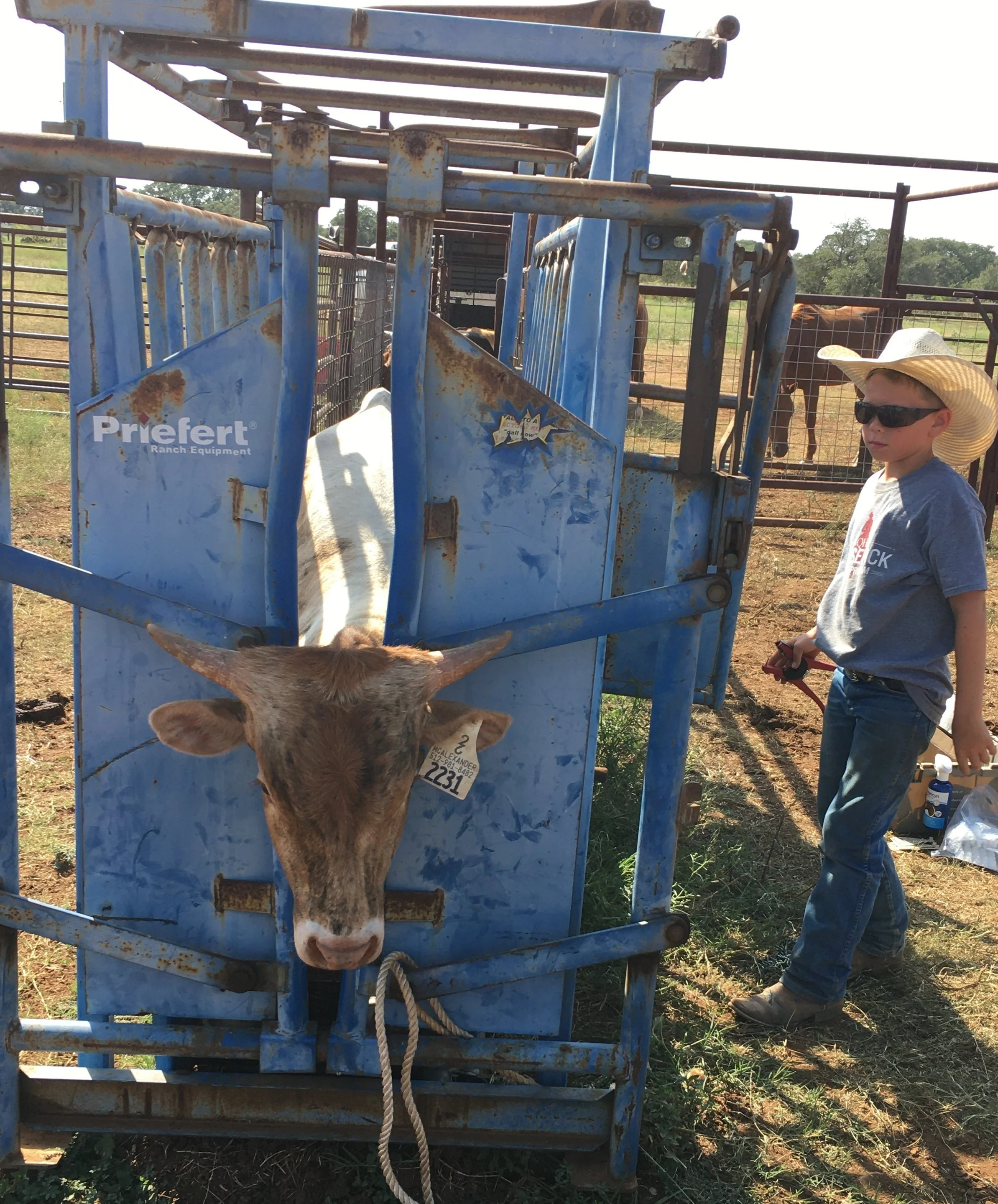 Texas Beef Initiative