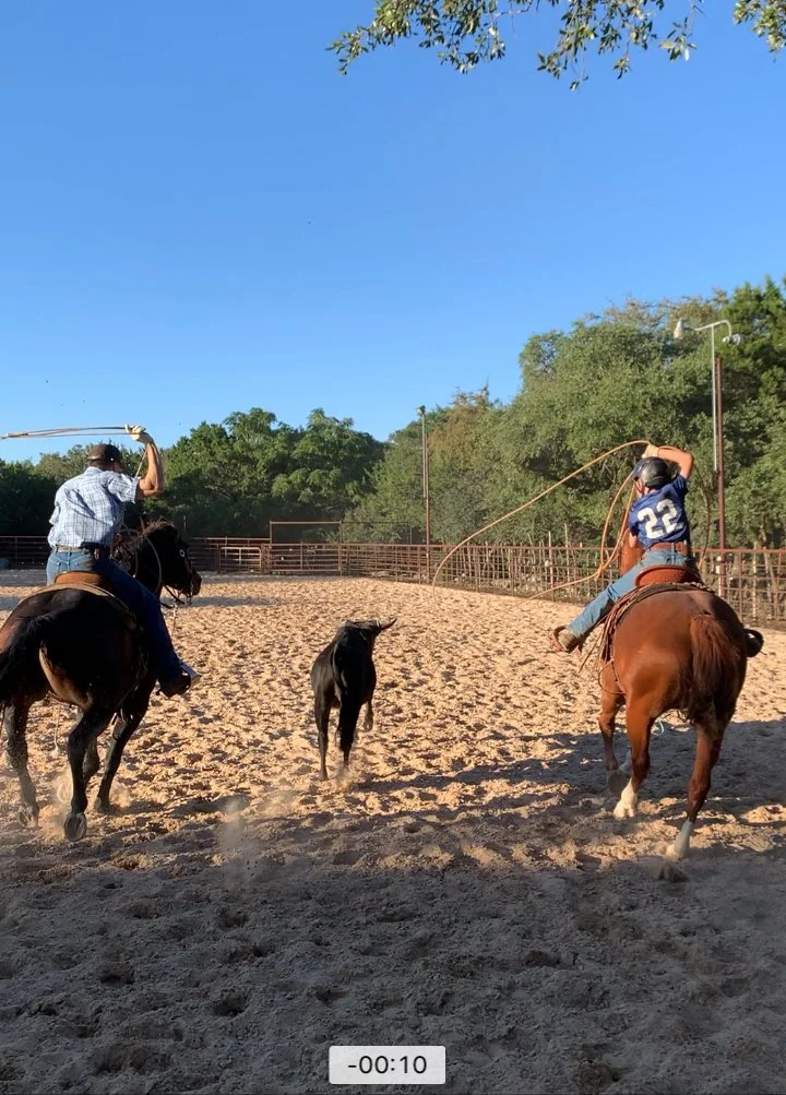 Texas Beef Initiative