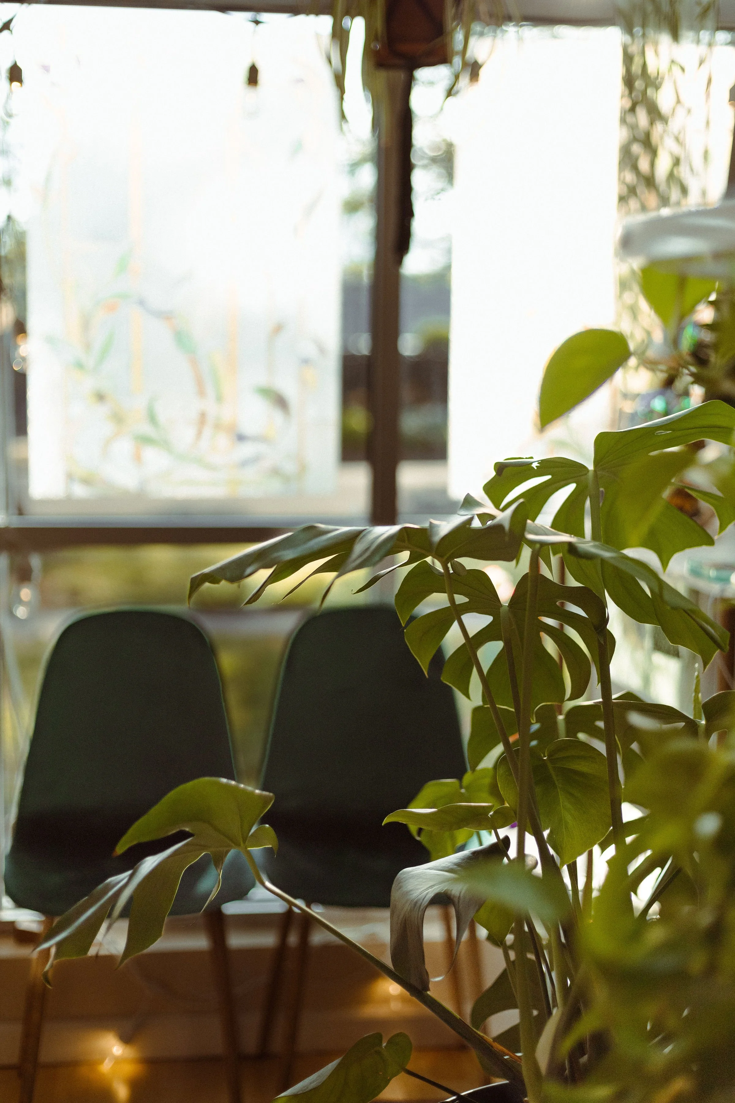 FAQ — Shield Maiden Tattoo